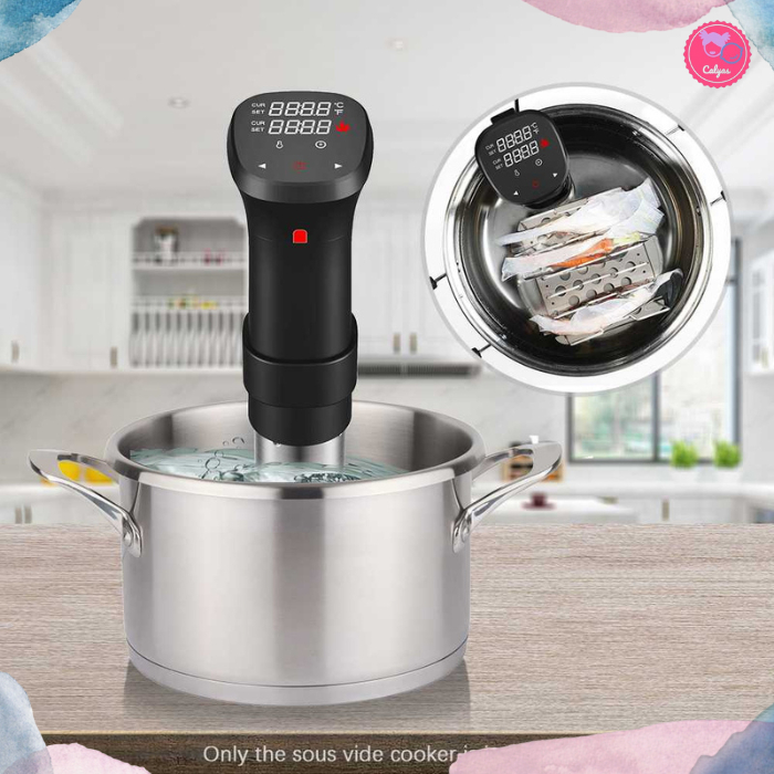 Jual Sous Vide Slow Cooker Vacuum Food Precision Temperature 1100W ...