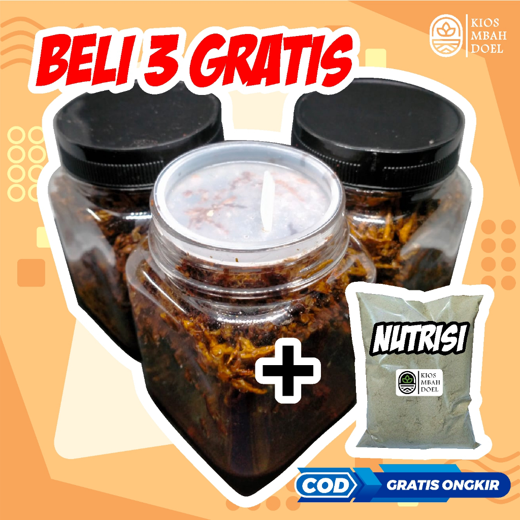 Jual JAMUR JAKABA PUPUK ORGANIK BELI 3 BOTOL GRATIS 1 NUTRISI | Shopee ...