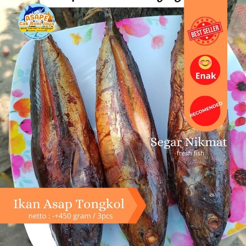 Jual ikan asap tongkol sepaket isi 3 ekor murah dan maknyus | Shopee ...