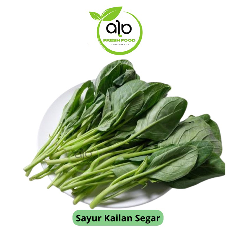 Jual SAYUR Kailan Kailan Garing / Sayur KELAN / KAYLAN / Jamin Segar ...