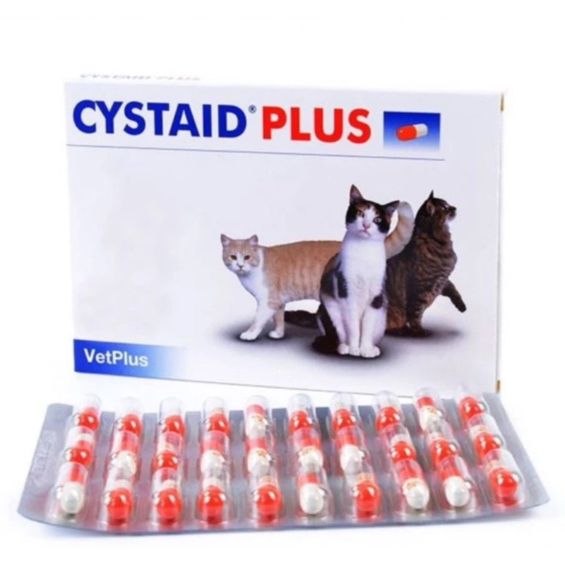 Jual CYSTAID Plus 1 BOX Kecil isi 30 Kapsul | Shopee Indonesia