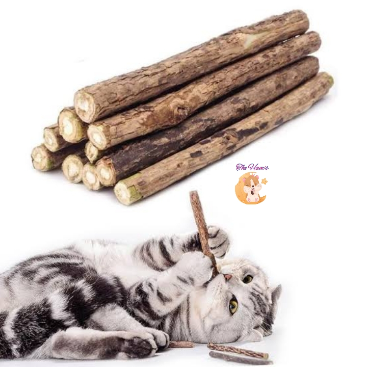 Jual (The Ham's) 1 STICK - CATNIP STICK MATABI - Catnip Snack Makanan ...