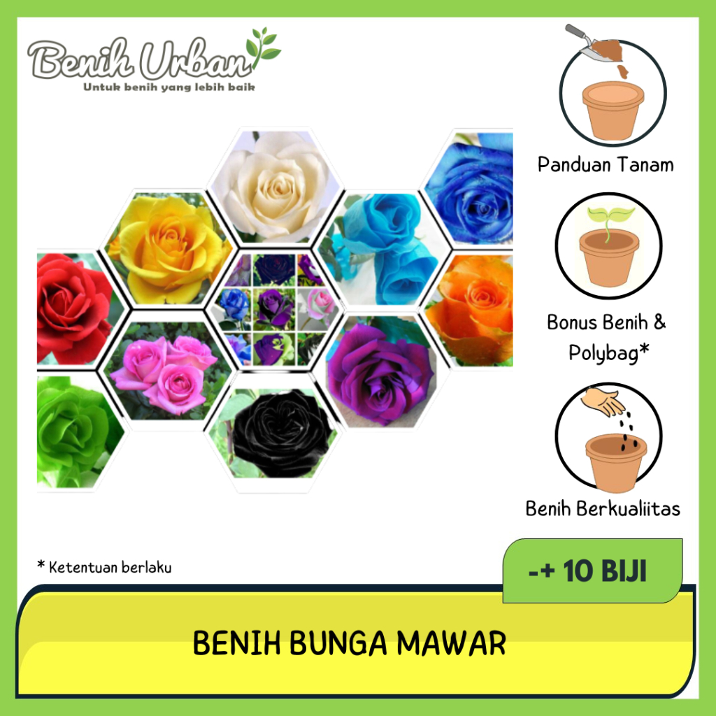 Jual 10 Biji Benih Bibit Bunga Mawar Langka Mixed | Shopee Indonesia