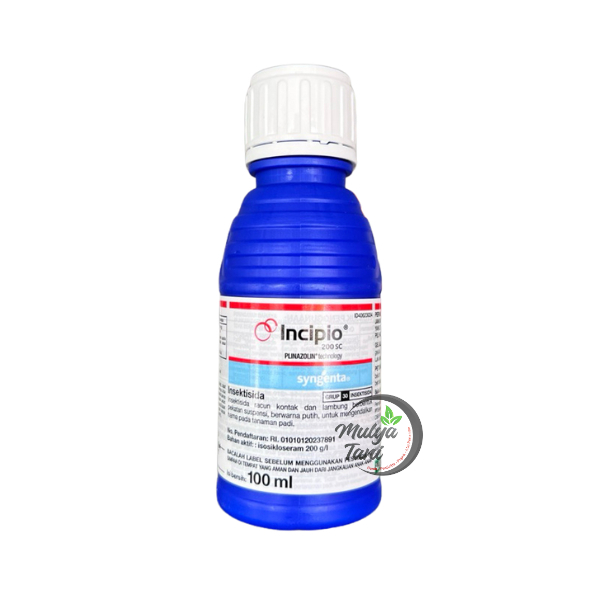 Jual Insektisida Incipio 200SC 100ml Syngenta Original | Shopee Indonesia