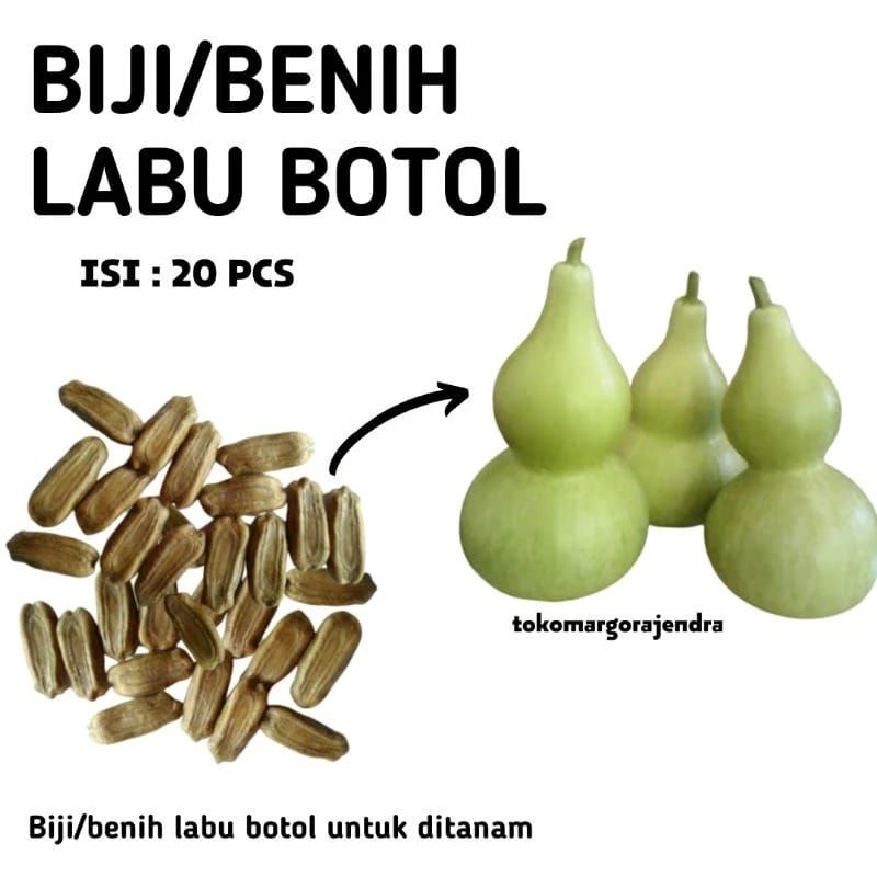Jual biji labu botol 20 pcs /benih labu botol siap tanam | Shopee Indonesia