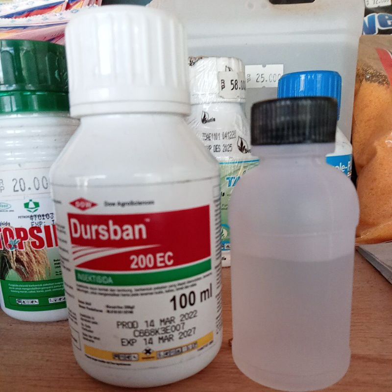 Jual Insektisida Dursban 200 EC Kemasan Ecer 20ml | Shopee Indonesia