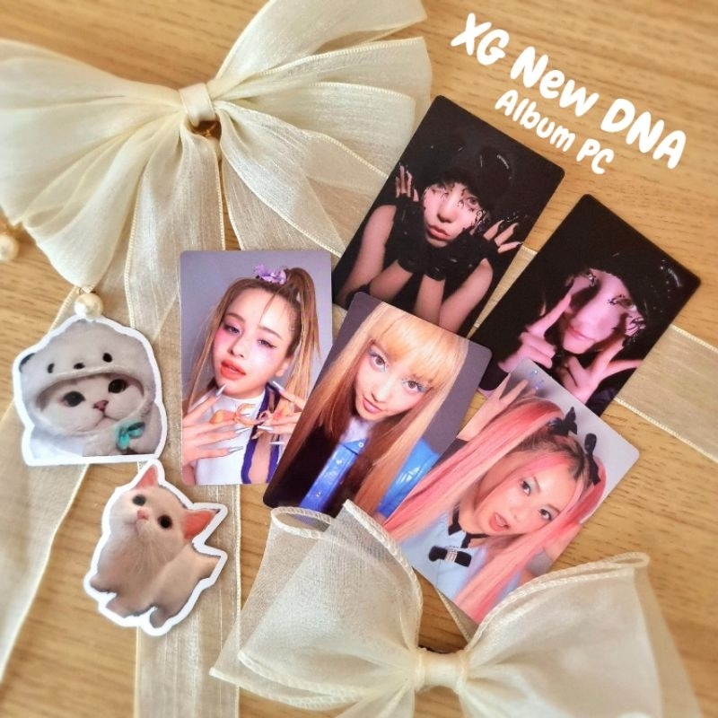 Jual XG Photocard Official (New DNA Album PC) CHISA HINATA HARVEY JURIA MAYA | Shopee Indonesia