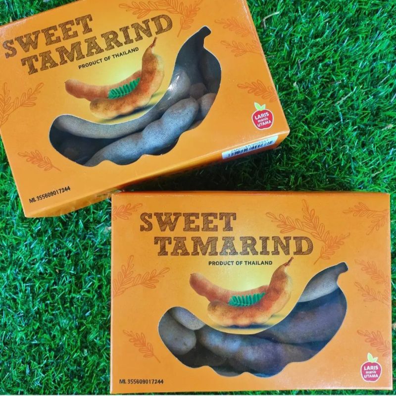 Jual BUAH ASAM SWEET TAMARIND THAILAND FRESH 1 PACK | Shopee Indonesia