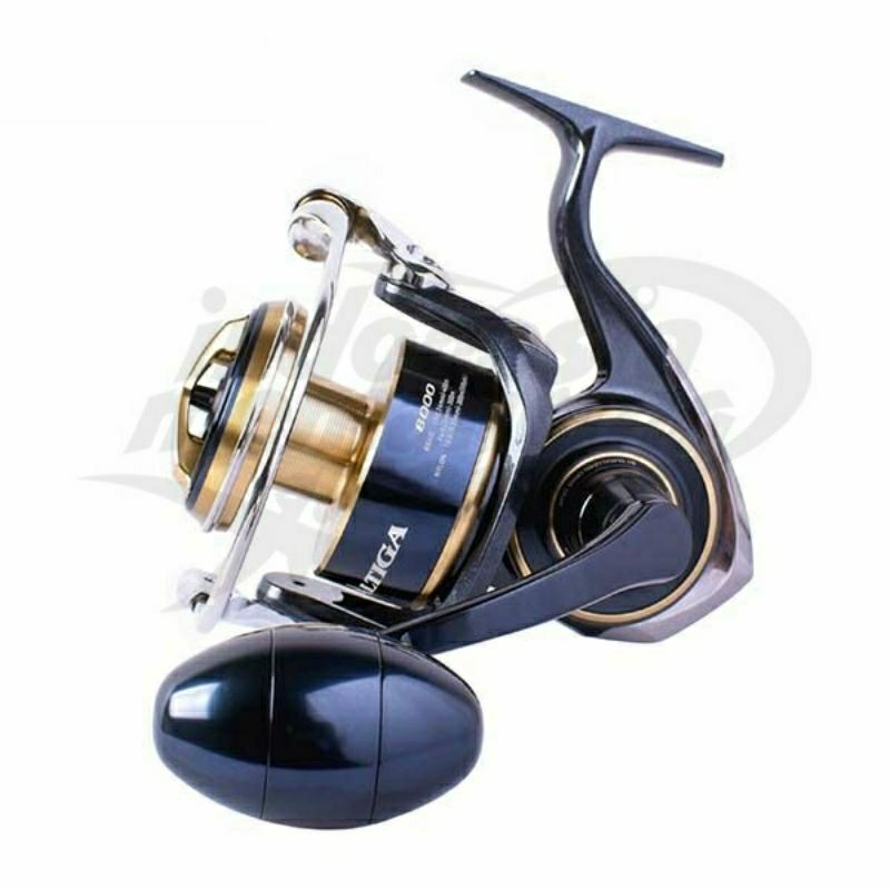 Jual REEL JIGGING POPPING DAIWA SALTIGA 20 G 8000-H | Shopee Indonesia