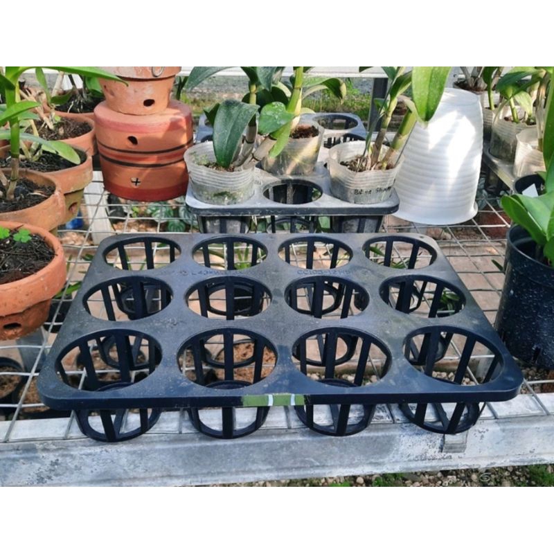 Jual Tray semai bibit anggrek, Tray pot semai tanaman, pot bulat bibit ...