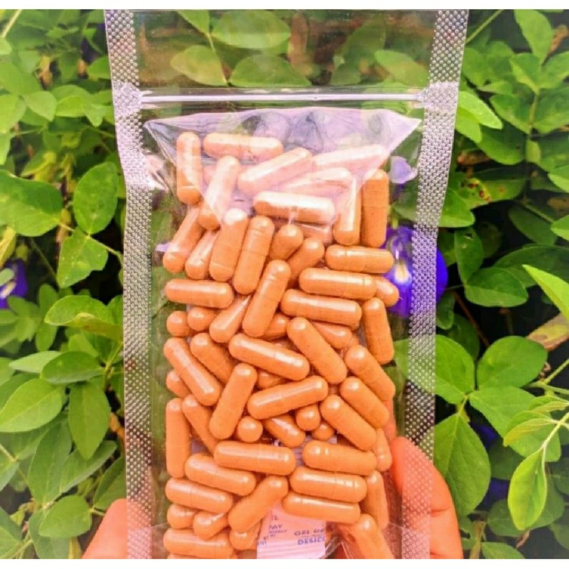 Jual JAMU HERBAL PURWOCENG ISI 100 KAPSUL | Shopee Indonesia