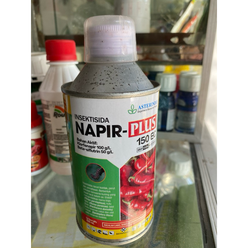 Jual Insektisida NAPIR-PLUS 150 EC 250 ml ( promo beli 4 bonus penembus ...
