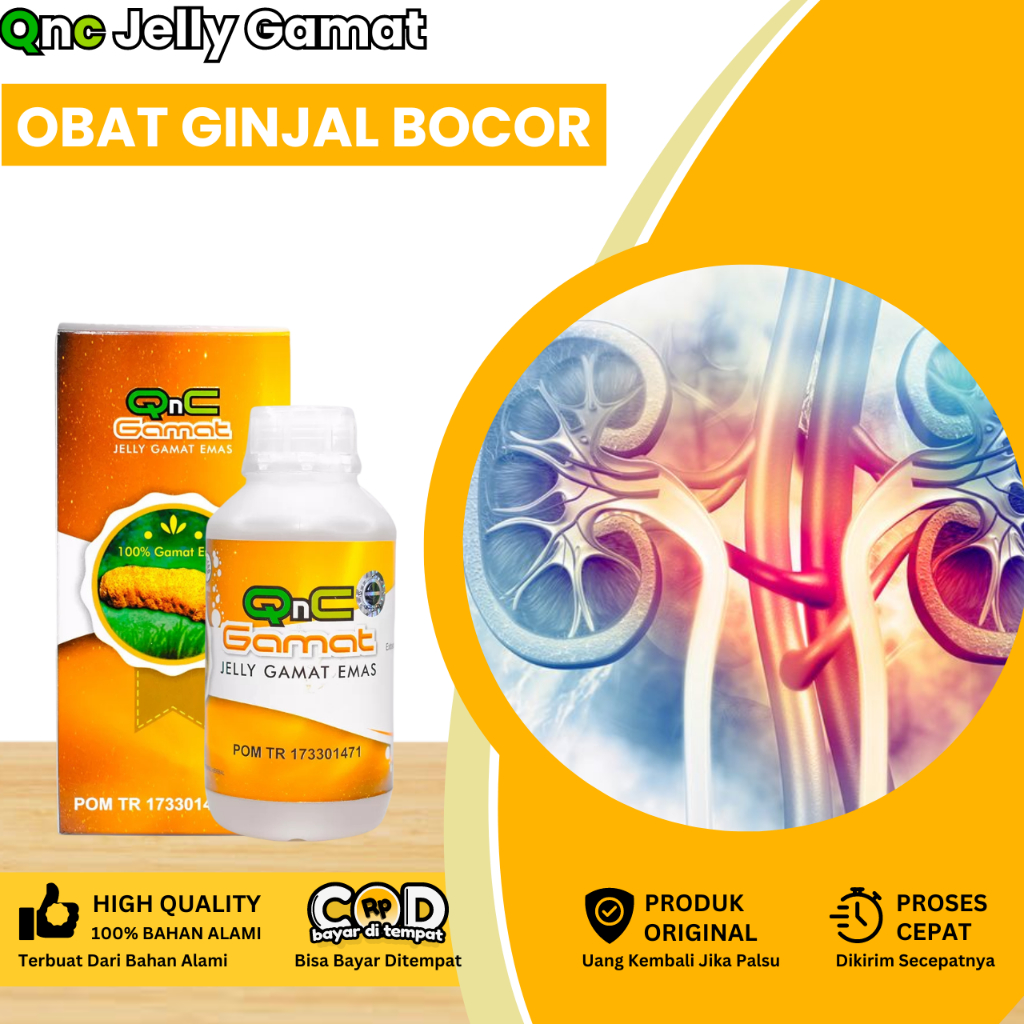 Jual Obat Ginjal Bocor, Sindrom Nefrotik, Obat Kanker Ginjal, Nyeri ...