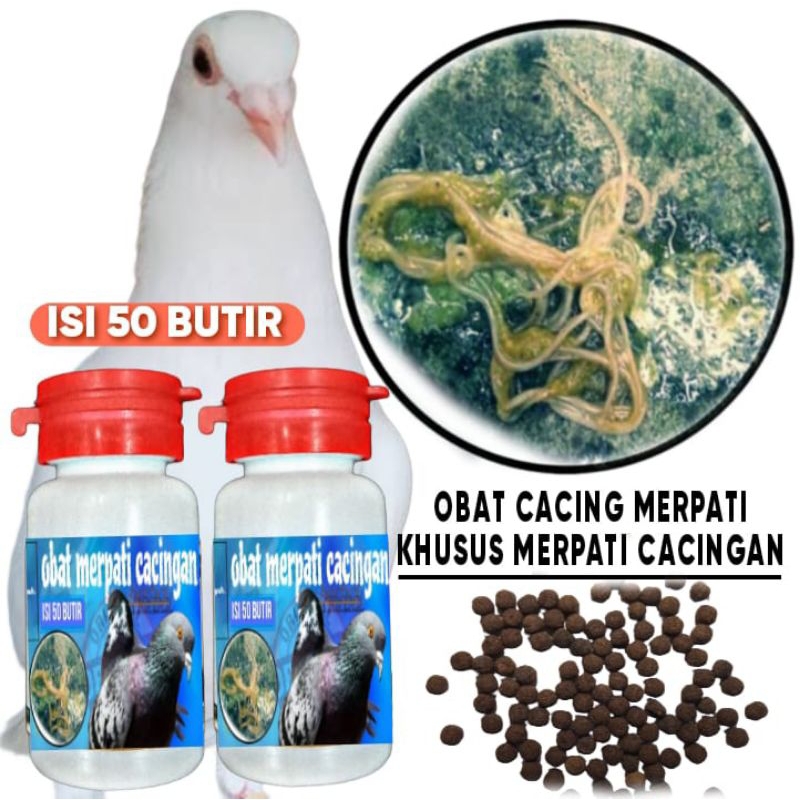 Jual OBAT CACING MERPATI CACINGAN ISI 100 PIL nutrobird vitamin burung ...