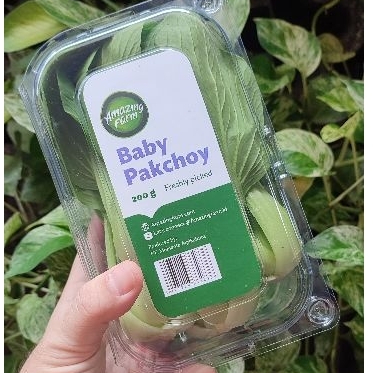 Jual Baby pakcoy organik - hidroponik 250gr | Shopee Indonesia