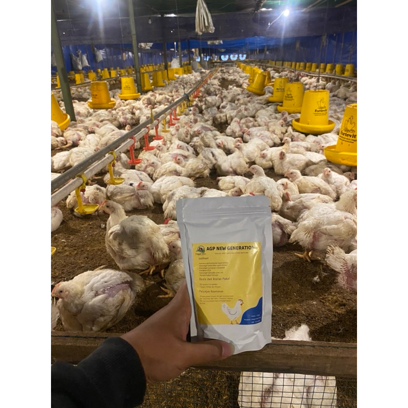 Jual Harga Pakan Ayam Broiler Terlengkap & Harga Terbaru Mei 2026 ...