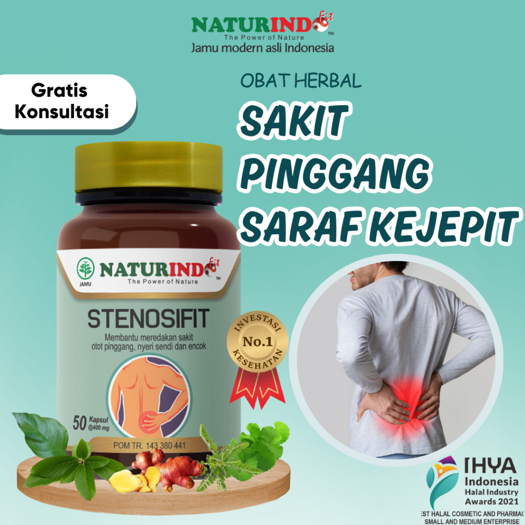 Jual Obat Sakit Pinggang Saraf Kejepit Encok Stenosifit Naturindo Fit ...