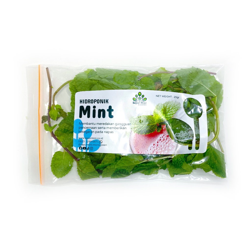 Jual SAYUR MINI Hidroponik Daun Mint 20gr - Fresh Cut - Hydroponics ...