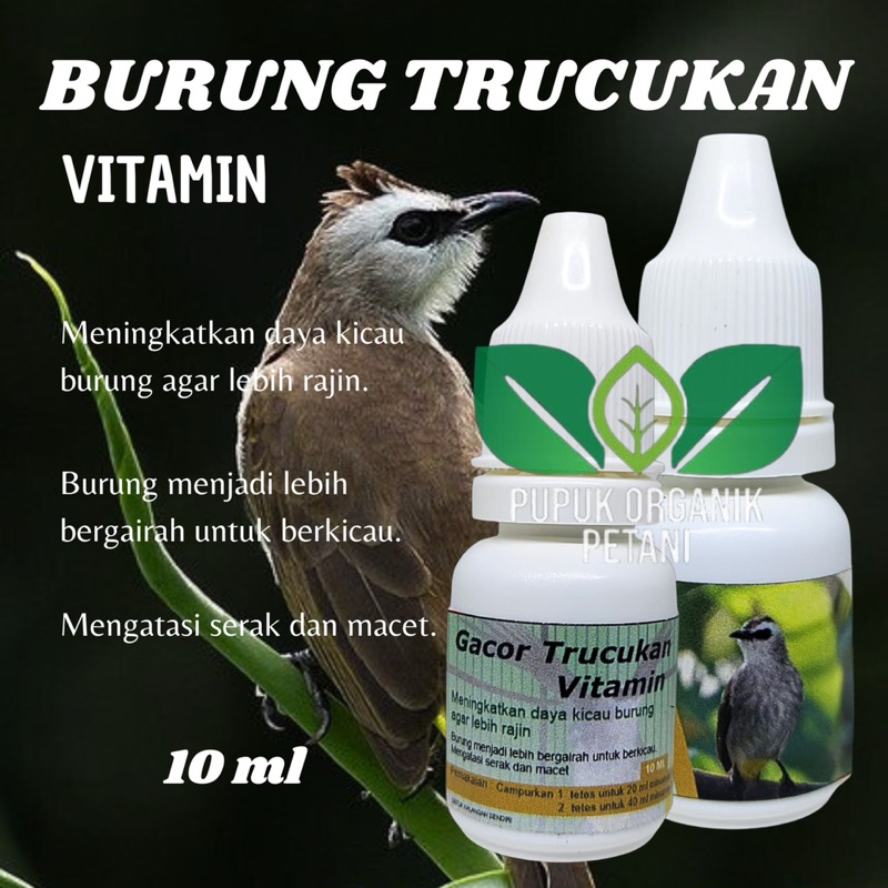 Jual Vitamin sumplemen burung trucukan gacor rajin ngoceh 10 ml ...