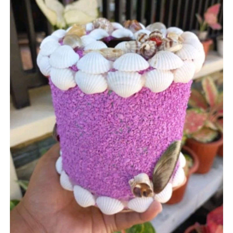 Jual tempat tisu bulat cangkang kerang kerajinan/prakarya | Shopee ...