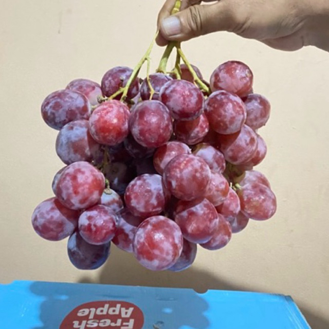 Jual Anggur Red Globe Besar | Shopee Indonesia