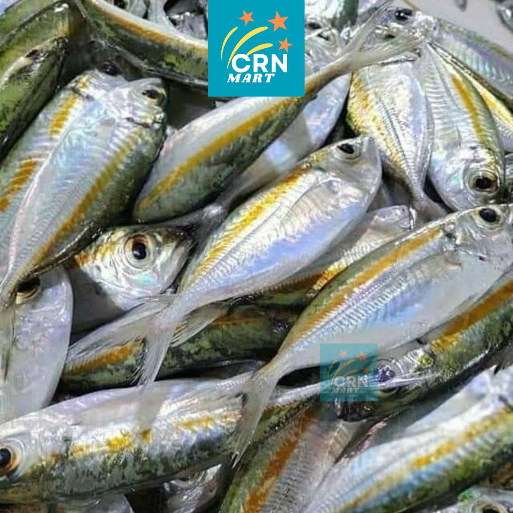 Jual CRN MART - Ikan Selar Kuning/Seafood Segar | Shopee Indonesia