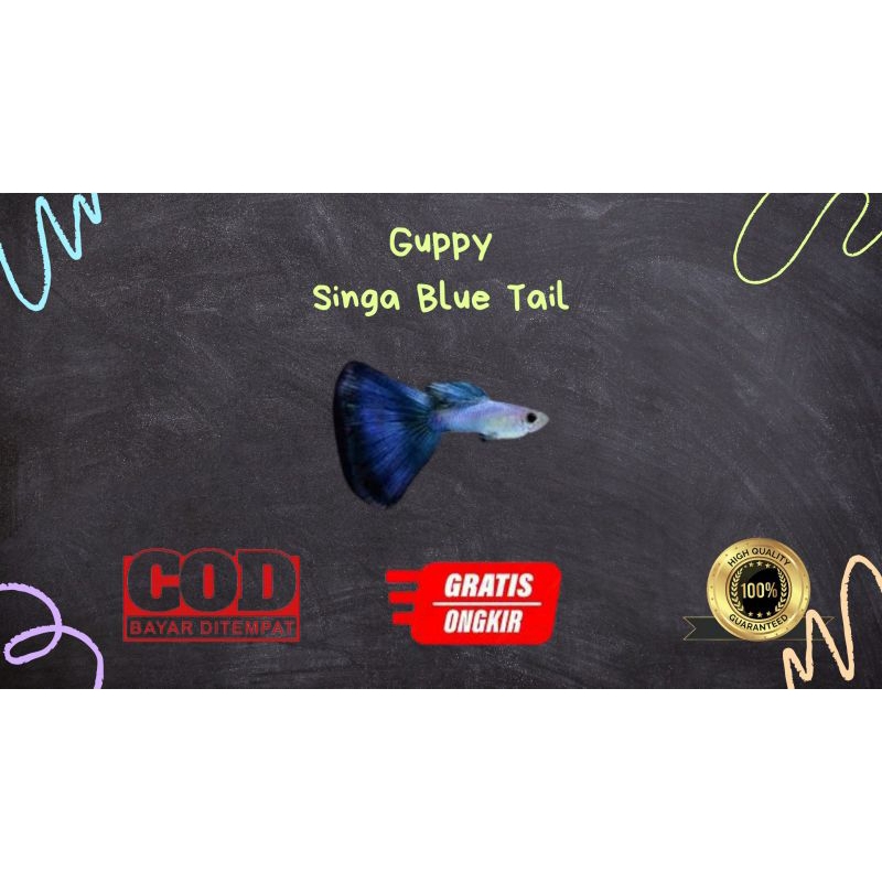 Jual Packing kardus / styrofoam guppy singa blue tail | Shopee Indonesia