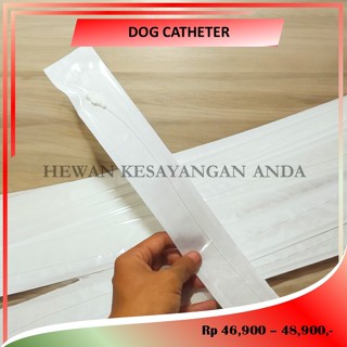 Jual Kateter Urine Anjing Dog Catheter Without Stylet 1.0mm*500mm dan 1 ...