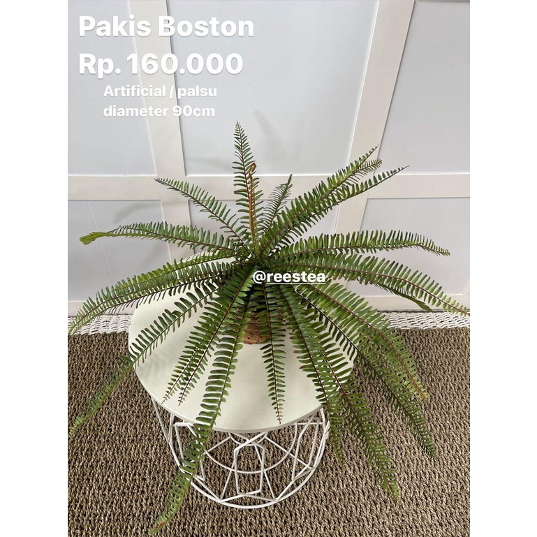 Jual Pohon Pakis Boston (Muda) /Pohon Meja / Pohon Hias Palsu ...