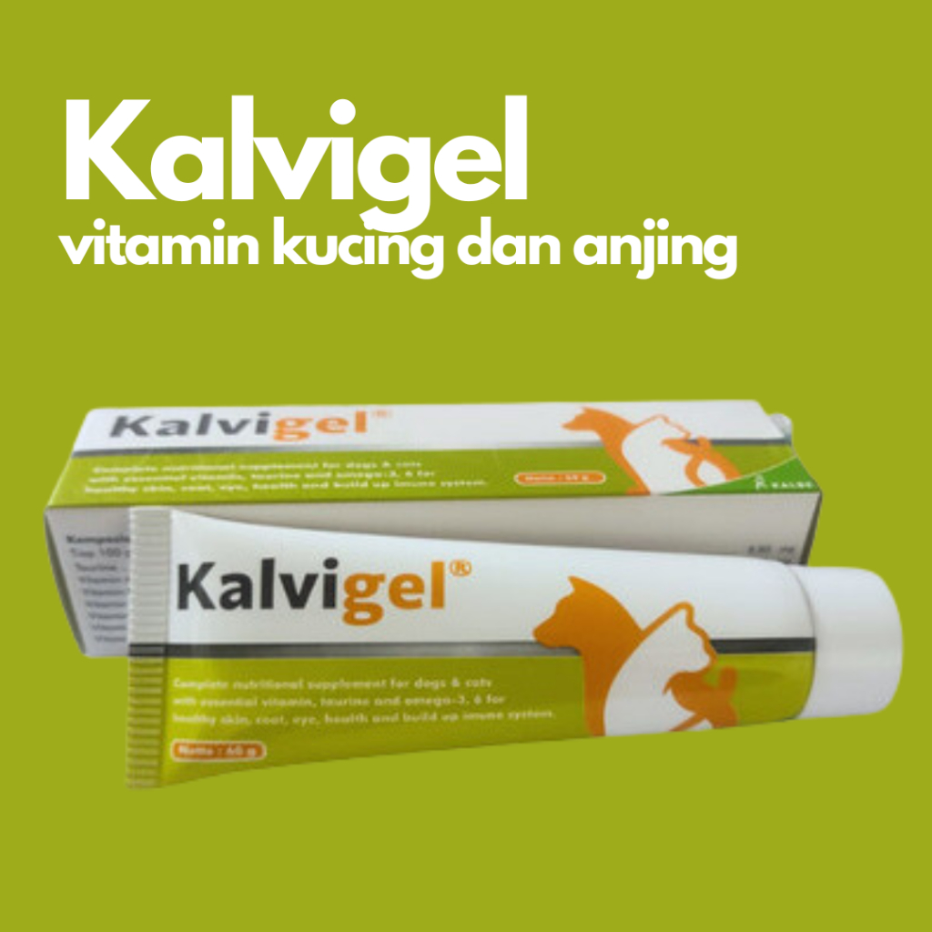 Jual Kalvigel 60gr vitamin kucing dan anjing Kalbe Original | Shopee ...