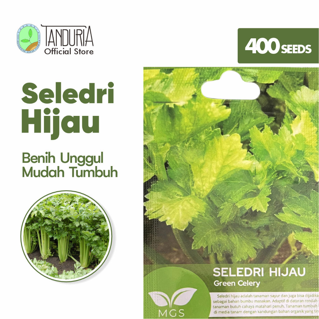 Jual TANDURIA - Benih Seledri Hijau by Mix Garden Seed Bibit Biji Bunga ...
