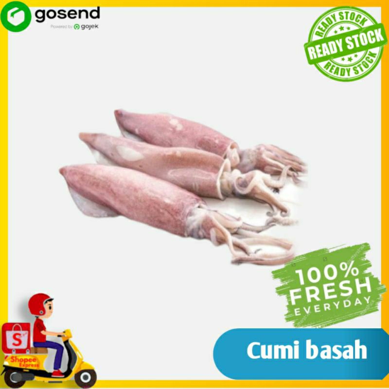 Jual Cumi-Cumi fresh - sayur segar - seafood segar | Shopee Indonesia