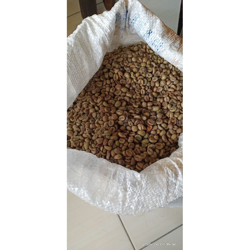 Jual green bean robusta, biji kopi robusta,harga per kg | Shopee Indonesia