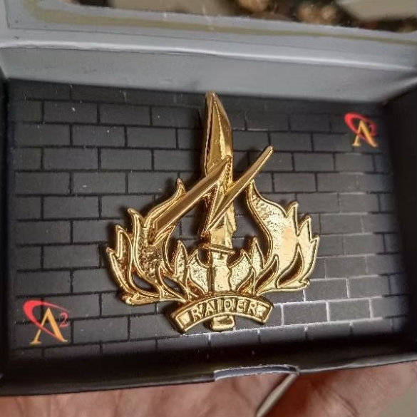Jual super exclusive brevet wing pin pdh raider | brevet wing pin pdh ...