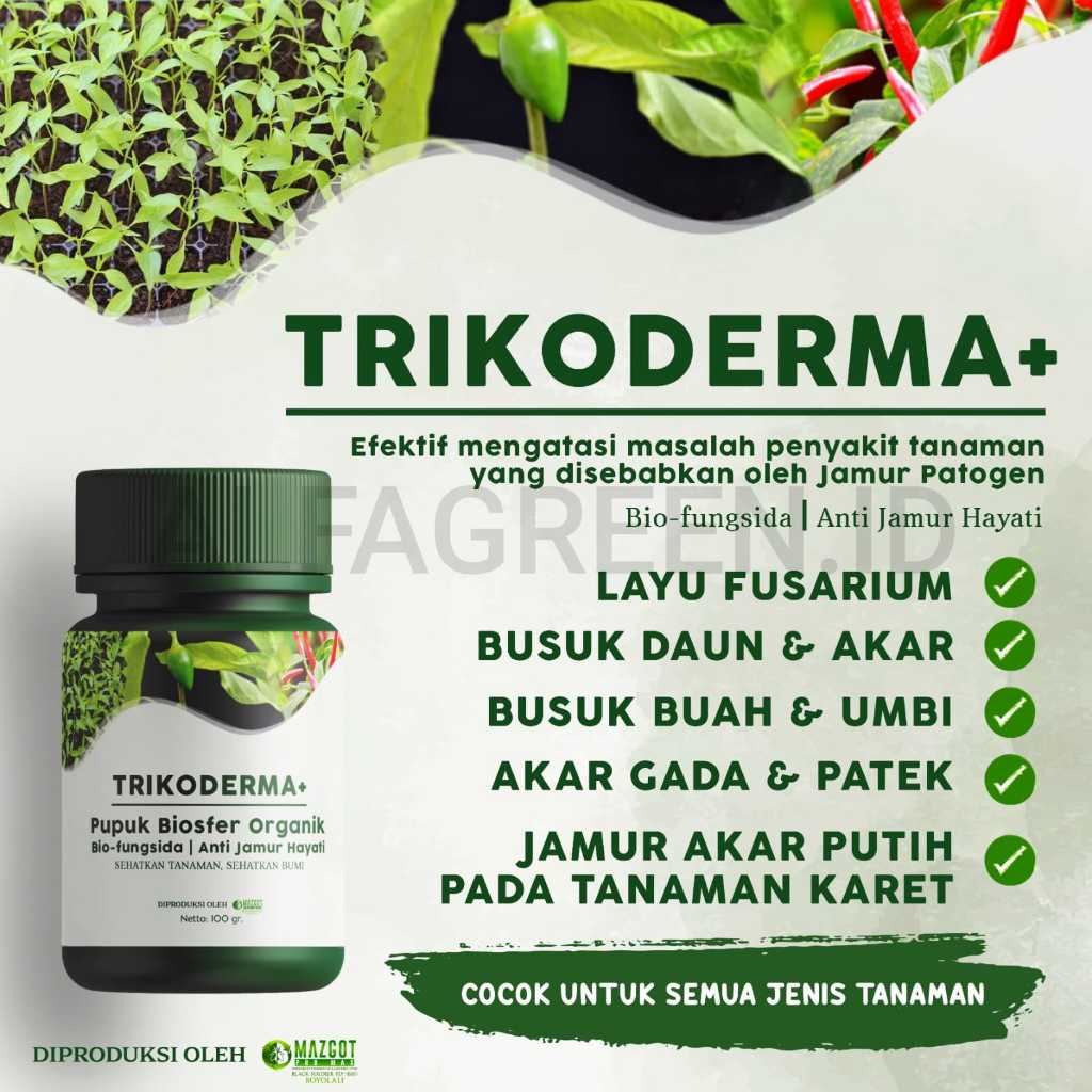 Jual PUPUK TRIKODERMA BELI 3 GRATIS 1!!! ALFAGREEN-Bio-Fungisida ...