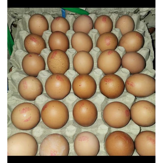 Jual Telur Ayam 1 Kg Terlengkap & Harga Terbaru Januari 2025 | Shopee ...