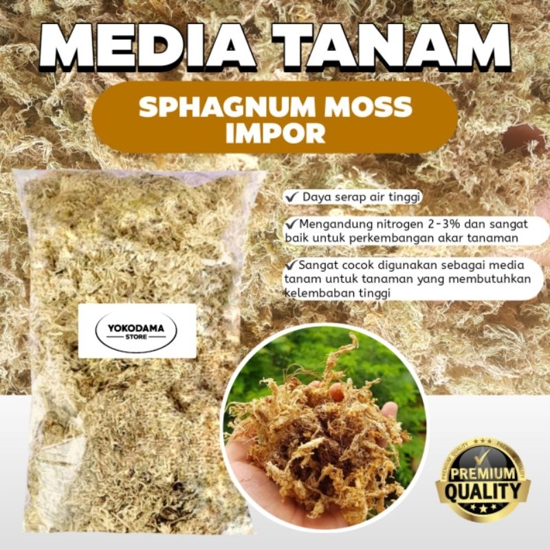 Jual SPHAGNUM MOSS IMPOR | Media Tanam Siap Pakai | Shopee Indonesia
