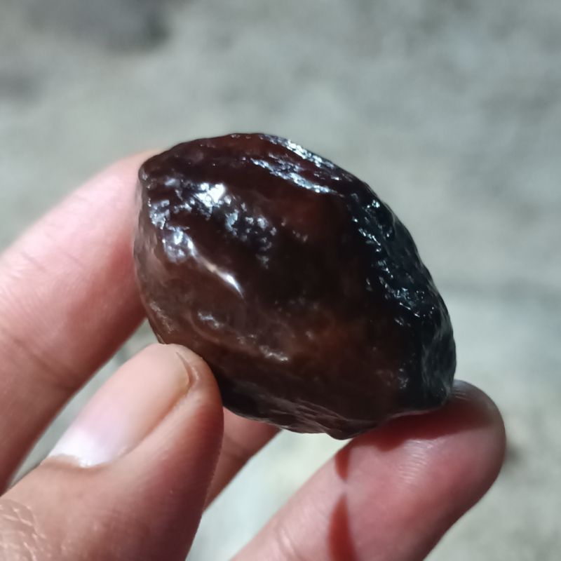 Jual muncang adu jayanti ori garut jawa yanti nyonyo jalim 4g | Shopee ...