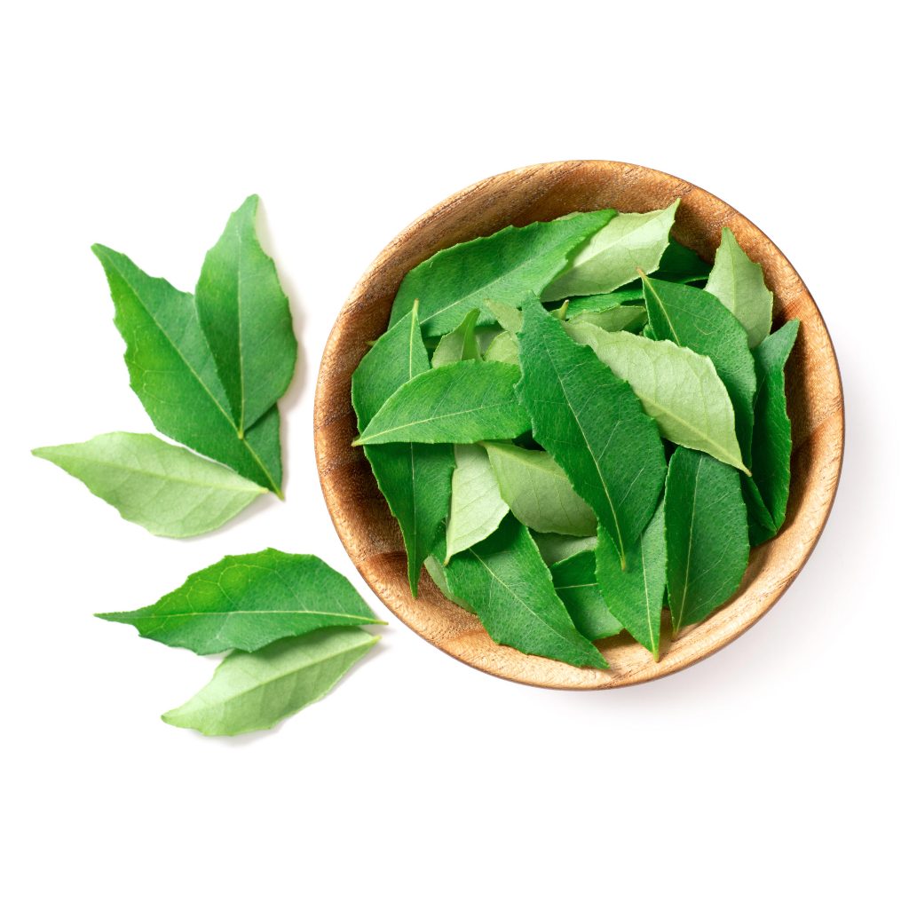 Jual Daun Kari / Salam Seroja / Temurui 20gr - NARASA | Shopee Indonesia