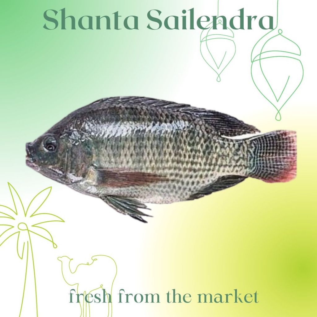 Jual IKAN NILA SEGAR 1 KG | Shopee Indonesia