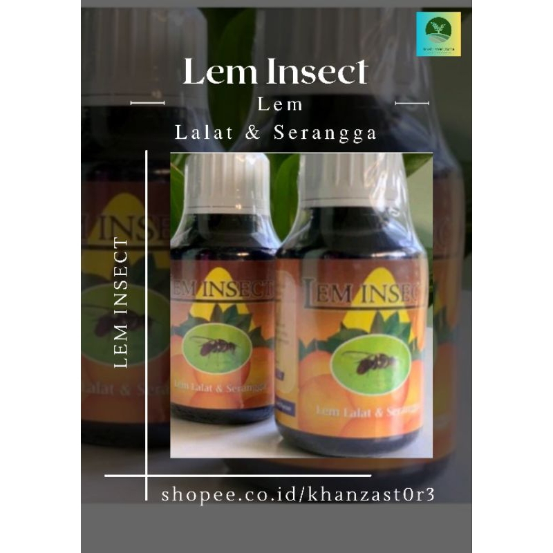 Jual LEM INSECT / LALAT BUAH 75 ML | Shopee Indonesia