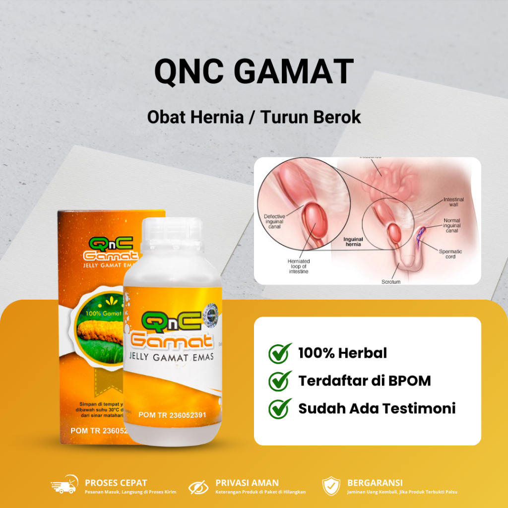 Jual Obat Hernia Turun Berok, Usus Turun, Turun Peranakan, Buah Zakar ...
