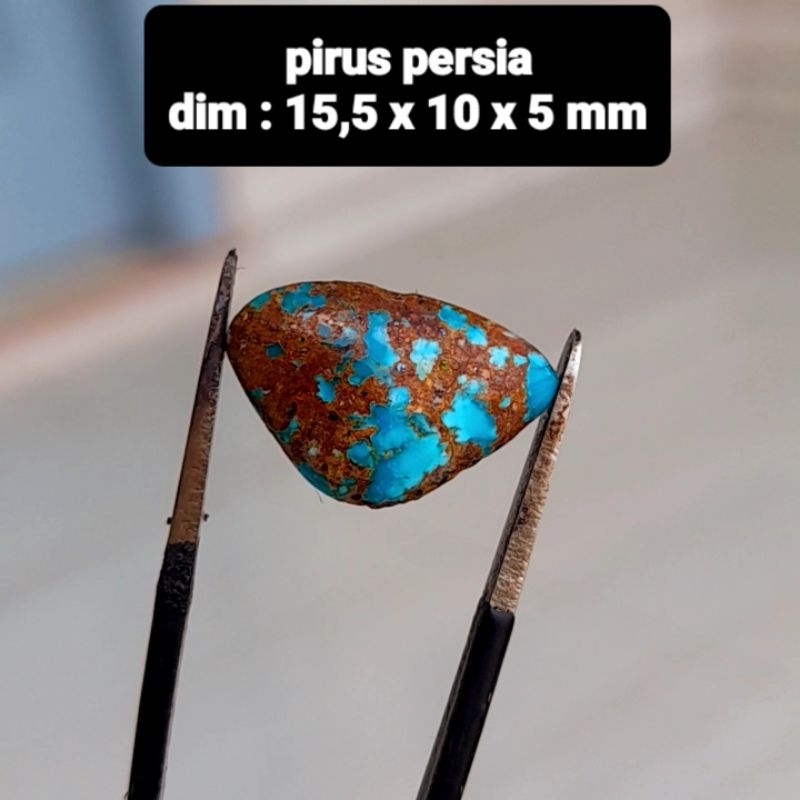 Jual natural pirus persia | Shopee Indonesia