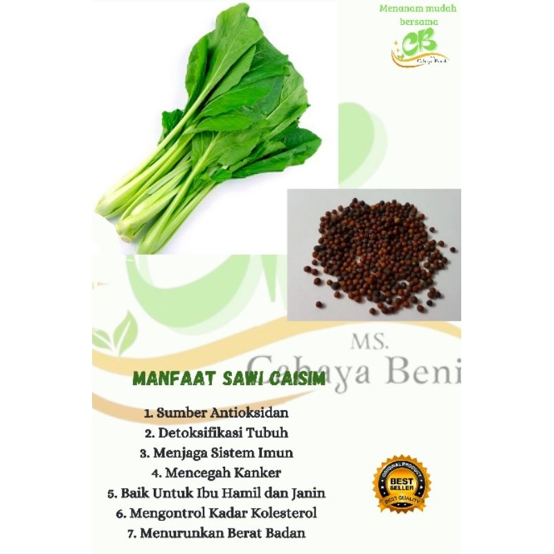 Jual Benih biji caisim manis paket 1000, bibit sawi caisim manis ...