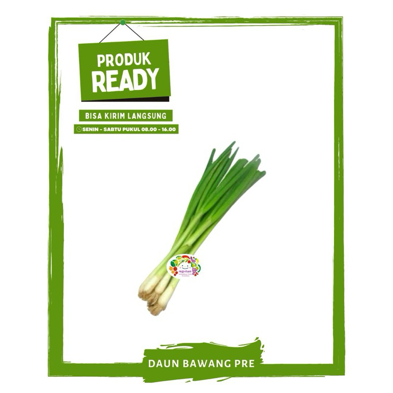 Jual Daun Bawang Pre / Sayur Sayuran Segar Ready On Mallahrizwa ...