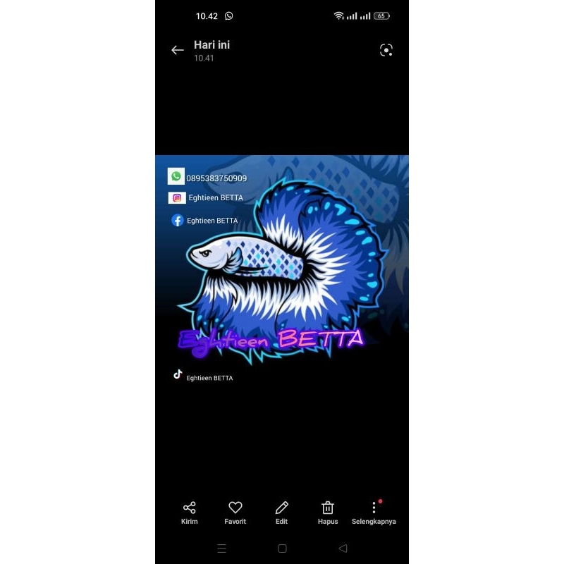 Jual stiker ikan cupang hias | Shopee Indonesia