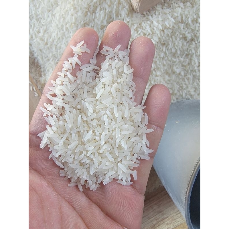 Jual BERAS BANJAR SUPER PREMIUM/BERAS UNUS MUTIARA/BERAS KARAU ...