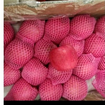 Jual Buah Apel Fuji 1 kg | Shopee Indonesia