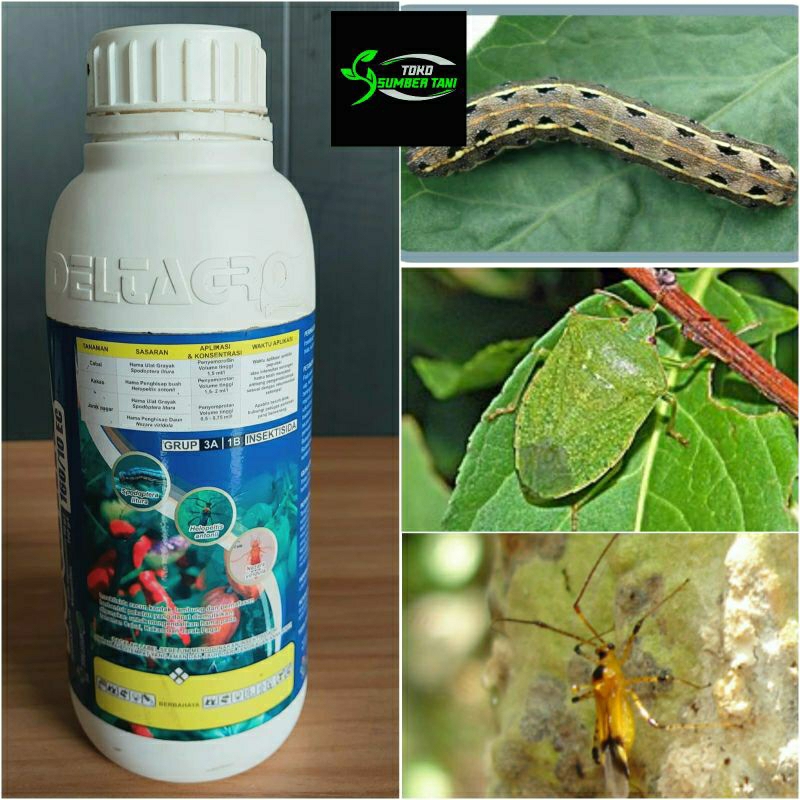 Jual Insektisida TUGARD 160/10 EC 500 ml Hama Ulat Penghisap Buah Daun ...