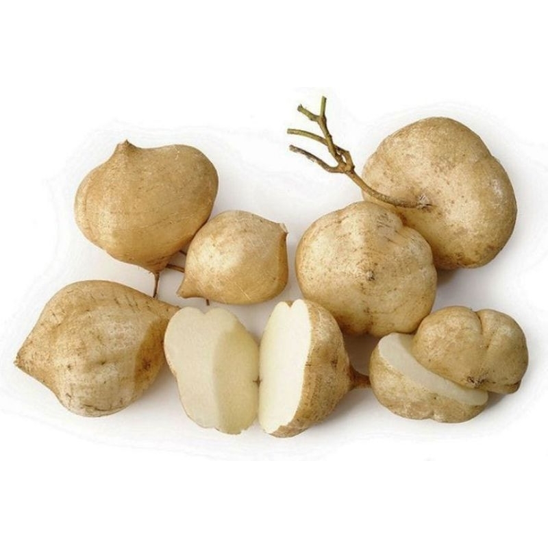 Jual bangkuang 1kg | Shopee Indonesia